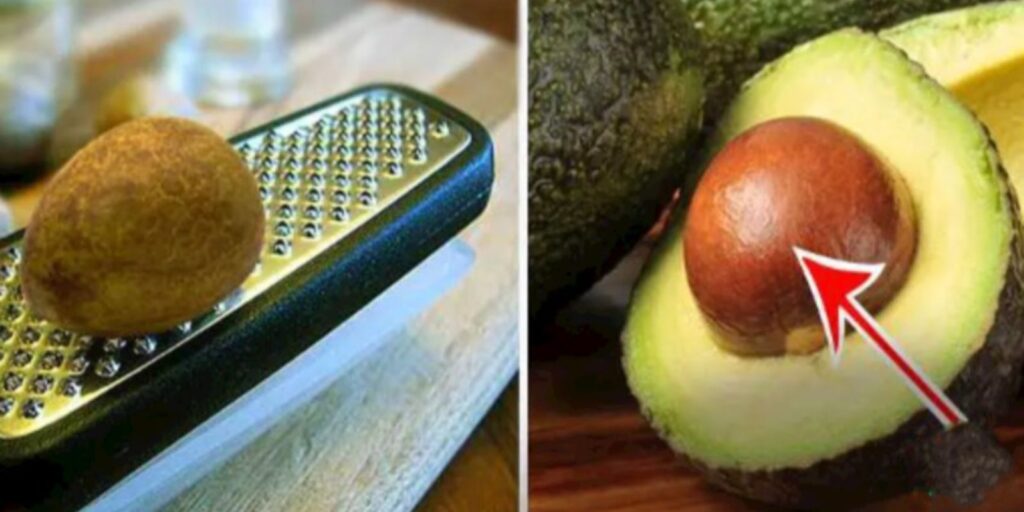 10 things to know about the power of the avocado pit - Natural Garden Tips