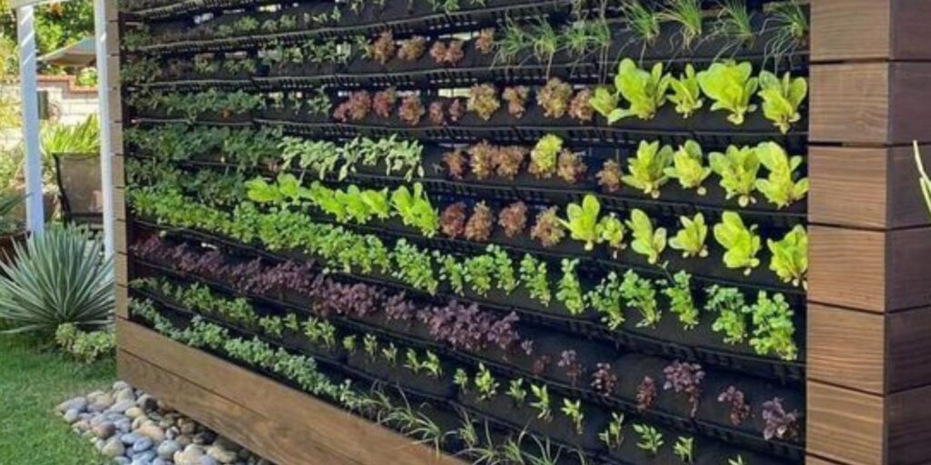 Maximizing Space and Yield: A Guide to Growing Vertical Vegetables ...