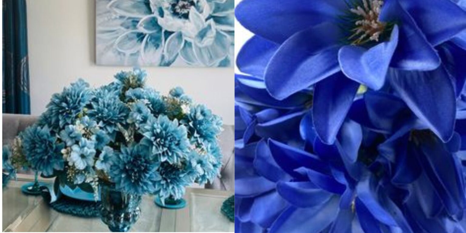 The Allure of Blue Dahlias: A Comprehensive Guide to Growing Dahlia ...