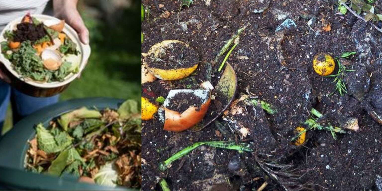 The Ultimate Guide to Composting: Transforming Waste into Garden Gold ...