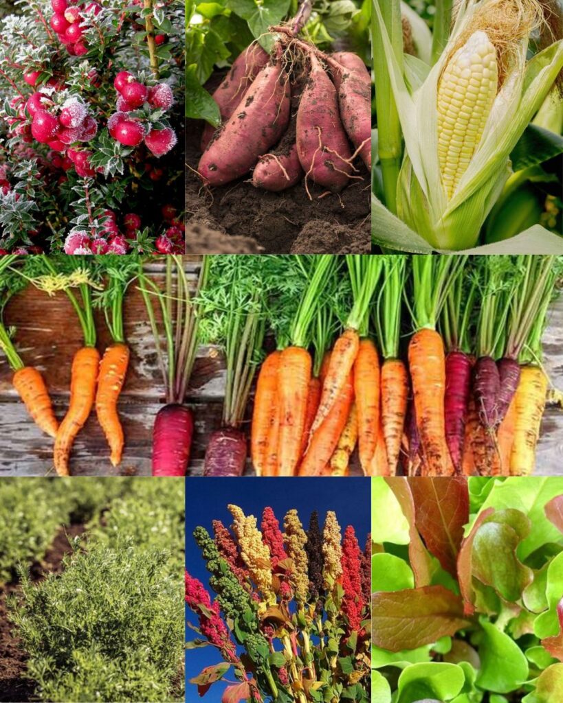 9 Survival Gardening Crops to Grow in a Post-Apocalyptic World ...