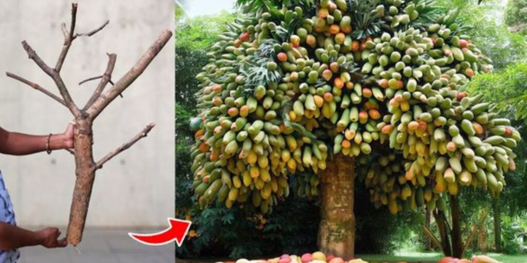 Unique Techniques for Grafting Trees - Natural Garden Tips