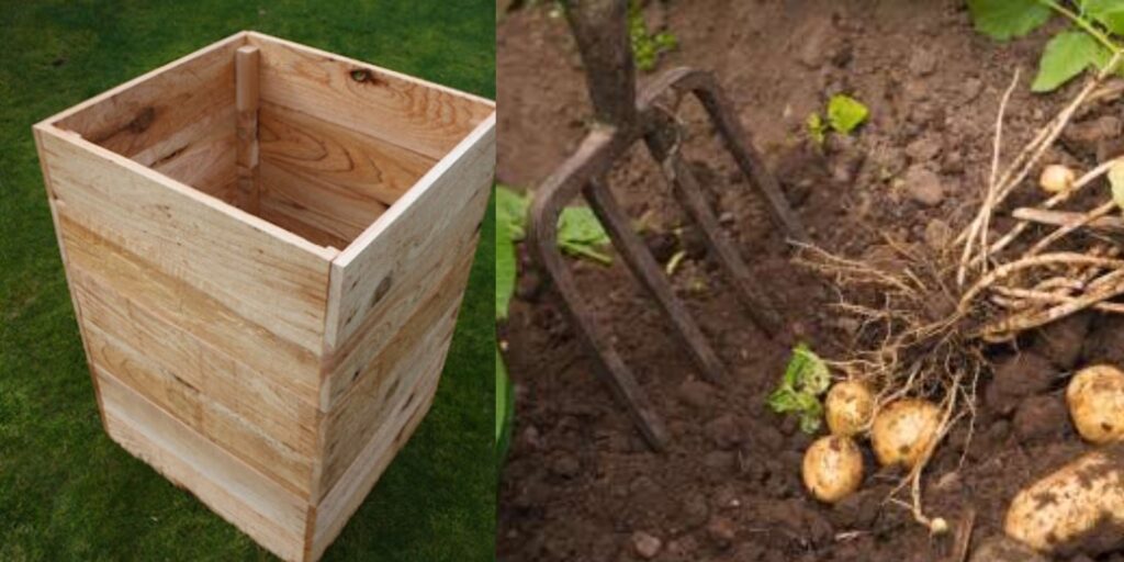 Grow 100 lbs. of Potatoes in 4 Square Feet: The Ultimate Guide to ...