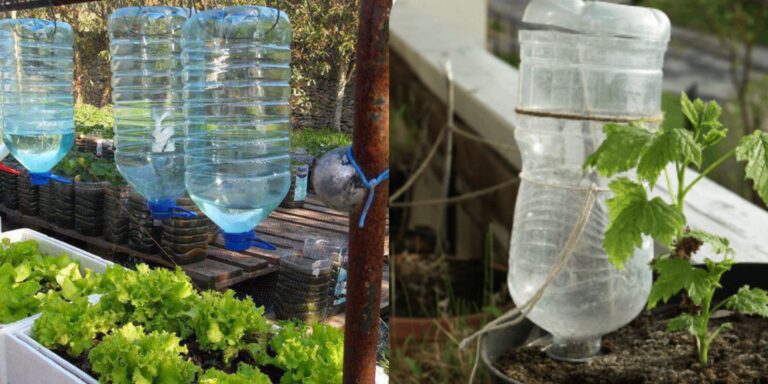 How to Build a DIY Drip Irrigation System at Home: A Comprehensive ...