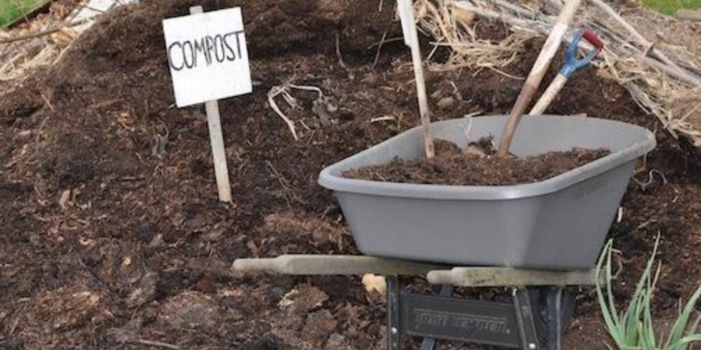Safely Adding Animal Waste to Your Compost: A Guide to Enriching Your ...