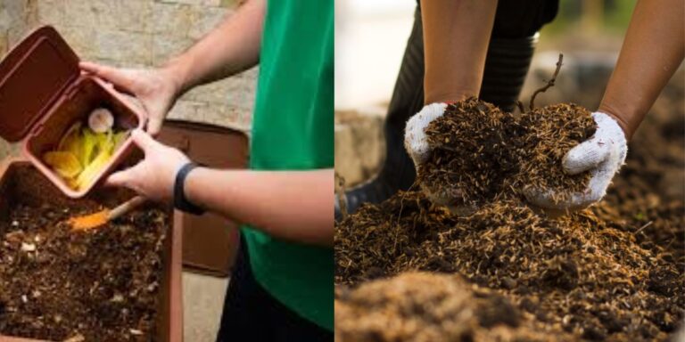 5 Remarkable DIY Compost Accelerators: Speed Up Your Composting Process ...
