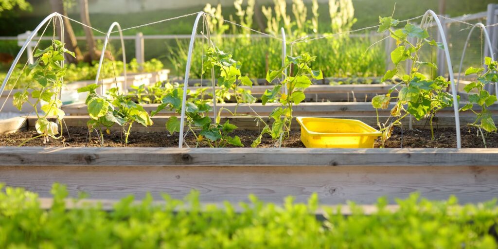 Starting a Garden from Scratch: Essential Steps and Tips for a ...