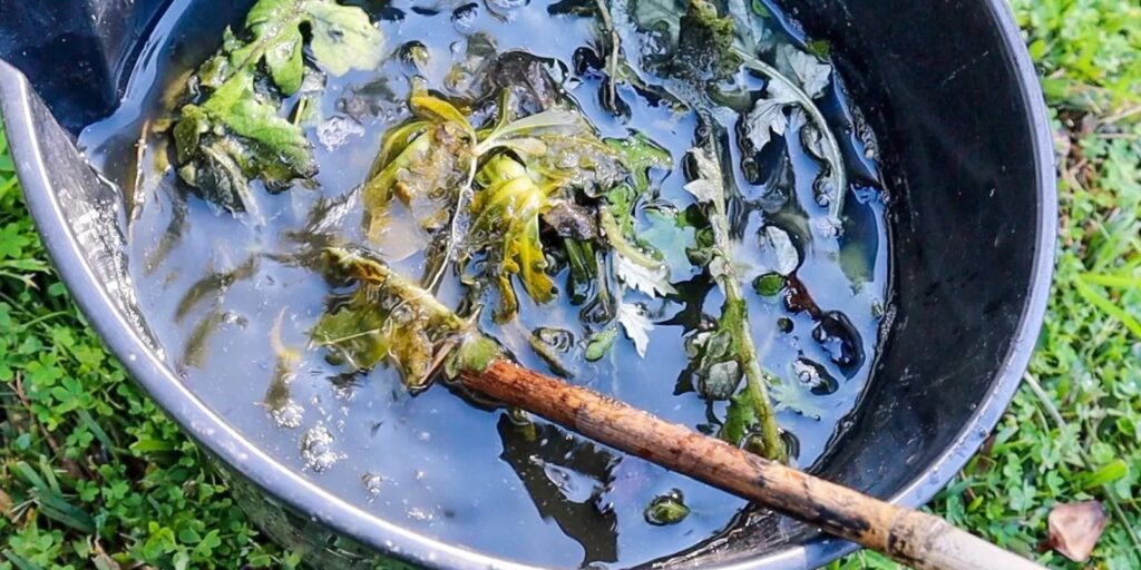 How to Make Your Own Organic Fertilizer Tea: A Step-by-Step Guide for ...