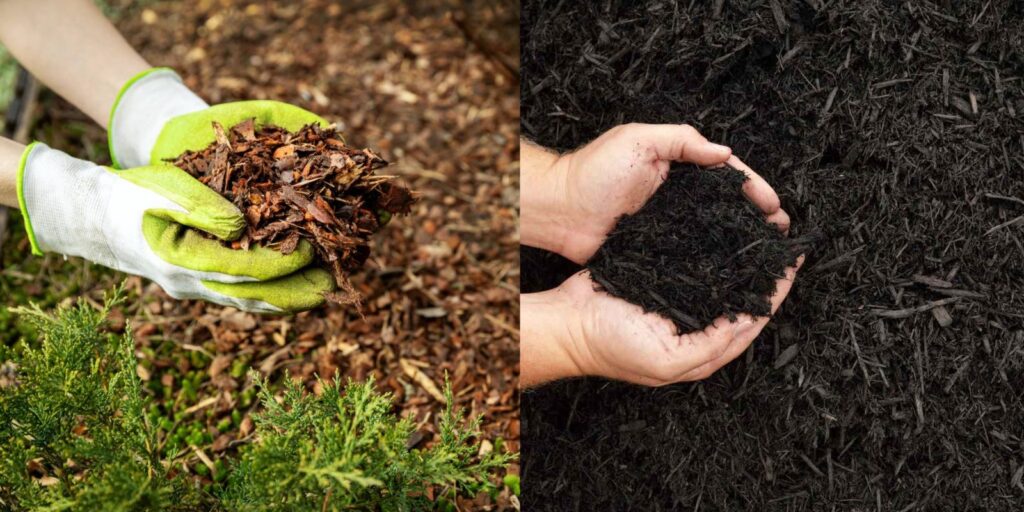 3 Types of Organic Mulch for Your Vegetable Garden: A Comprehensive ...