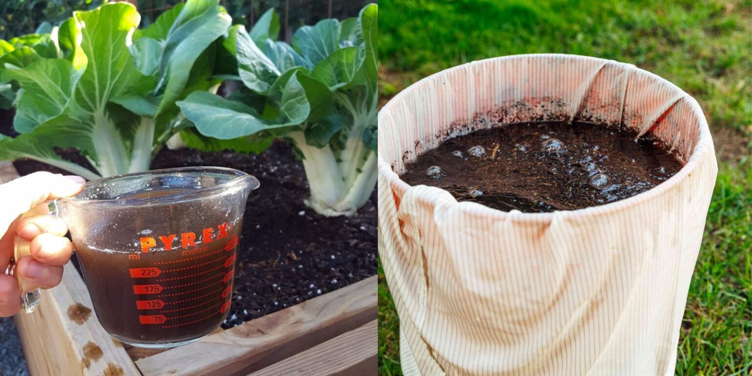 Compost Tea: What It Is, Why It Matters, and How to Make It - Natural ...