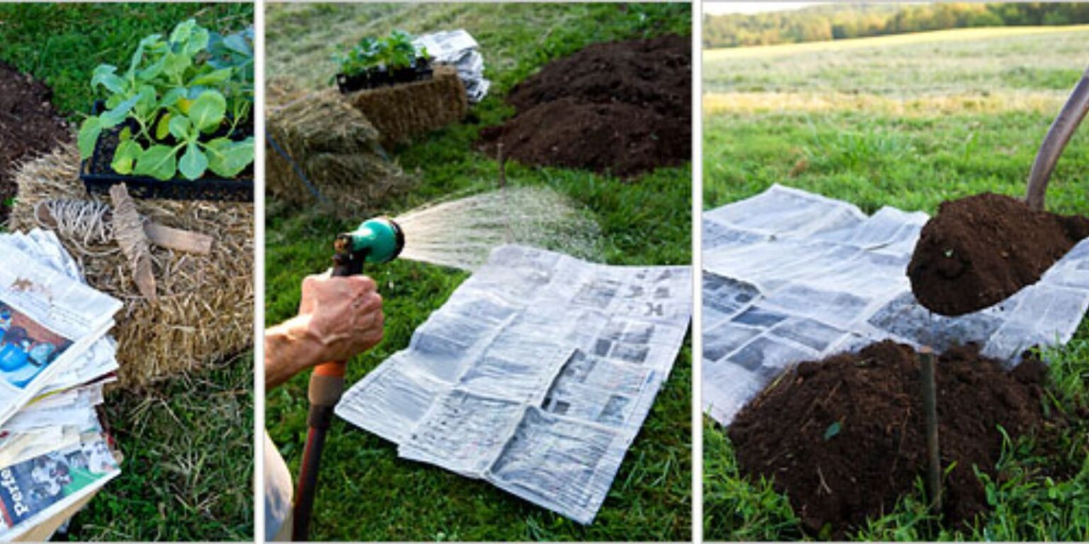 How to Use Newspaper to Start a Garden Bed: A Comprehensive Guide to ...