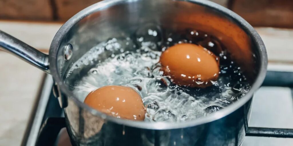 Boiling Eggshells: The Secret Fertilizer That Will Save You Money and ...