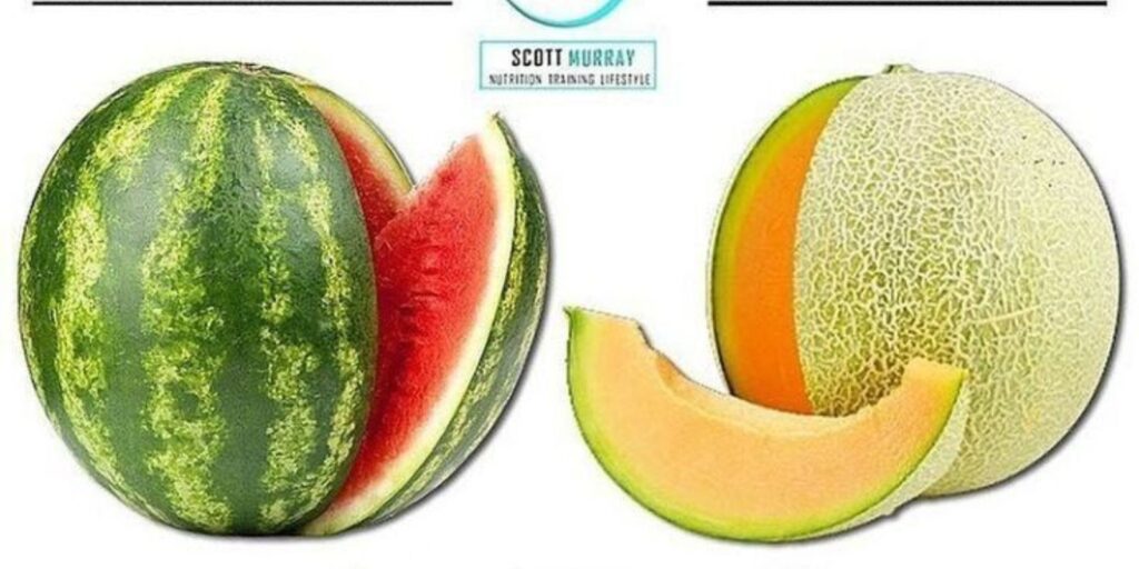 Watermelon vs. Cantaloupe: Which Is the Better Choice? The Ultimate ...