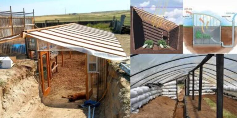 How to Build a Walipini Greenhouse to Grow Food Year-Round: A Complete ...