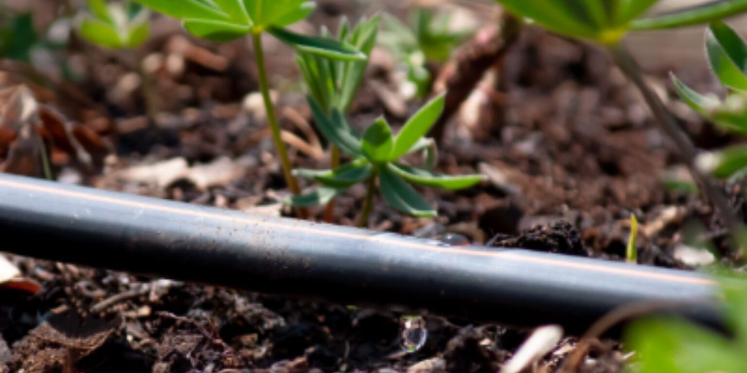 The Ultimate Beginner's Guide to Drip Irrigation Types - Natural Garden Tips