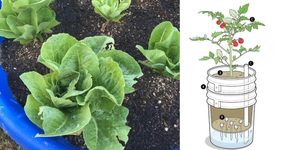 Here's a comprehensive article focused on creating a portable garden ...