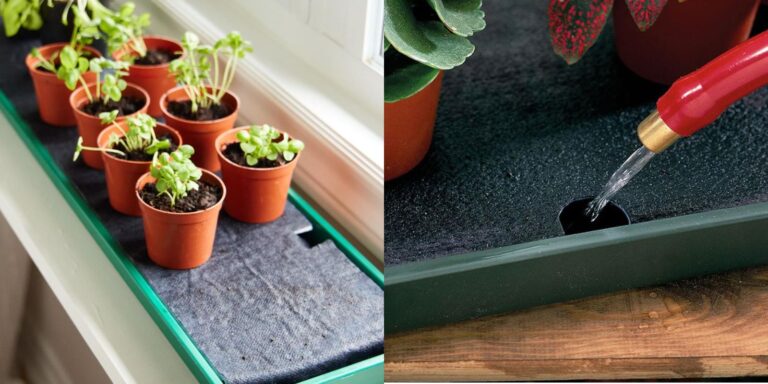 The Ultimate Guide to Creating and Using a Self-Watering Tray for Your ...