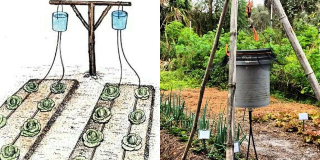 Efficient Watering with the Chapin Bucket: Revolutionizing Small-Scale ...