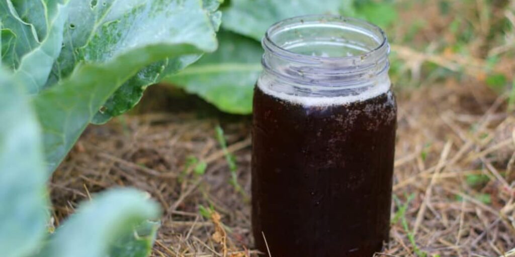 The Ultimate Guide to Compost Tea: The Only Recipe You'll Ever Need ...