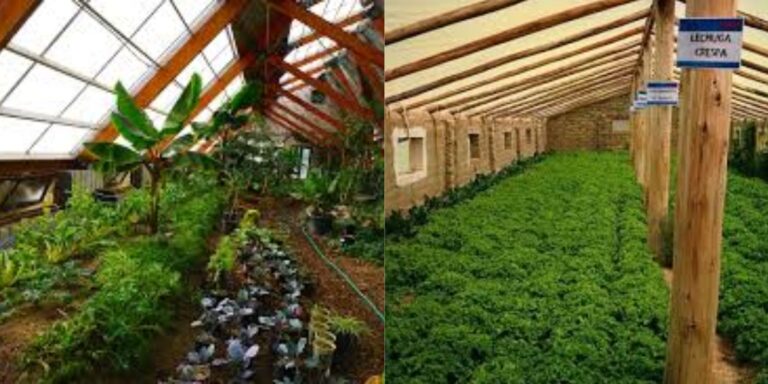 Grow Food Year-Round with the Walipini Underground Greenhouse: A ...