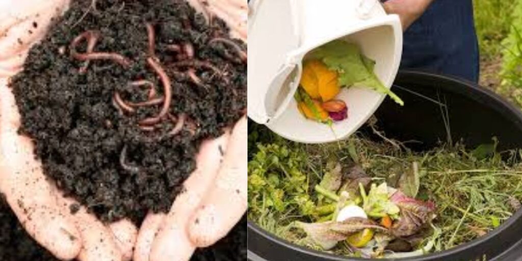 The Ultimate Guide to Composting: Transforming Waste into Garden Gold ...