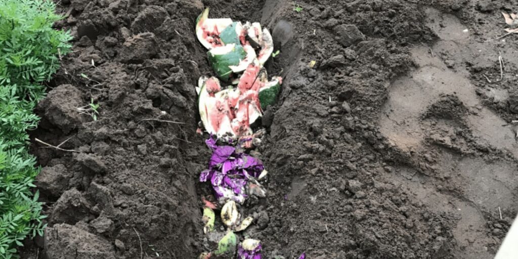 Trench Composting: The Simple, Sustainable Way to Enrich Your Soil ...