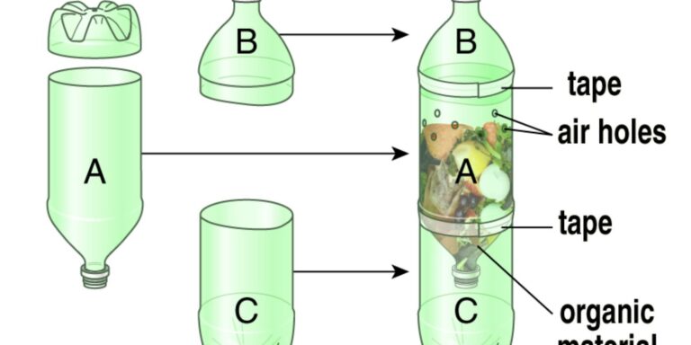 Compost in a Bottle: A Fun and Educational Science Experiment for All ...