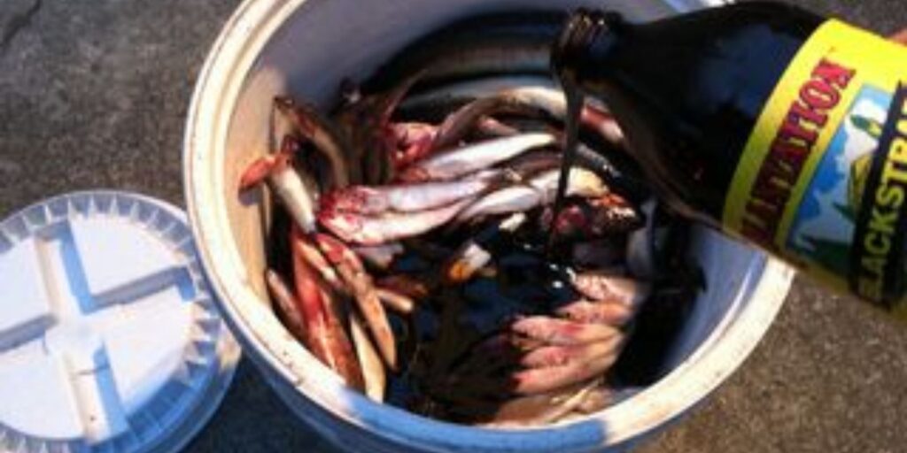 DIY Fertilizer: How to Make Homemade Fish Fermentation for Thriving ...