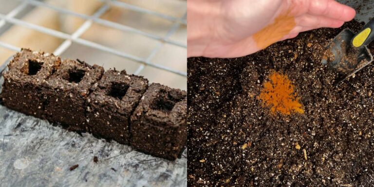 How to Make the Best Soil Block Mix for Your Seedlings - Natural Garden ...