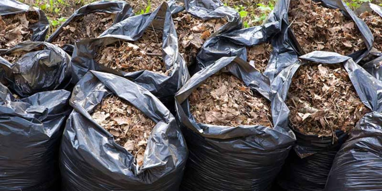 Composting Leaves: How to Achieve Fast Leaf Decay and Create Nutrient ...
