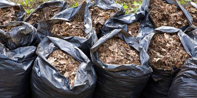 Composting Leaves: How to Achieve Fast Leaf Decay and Create Nutrient ...