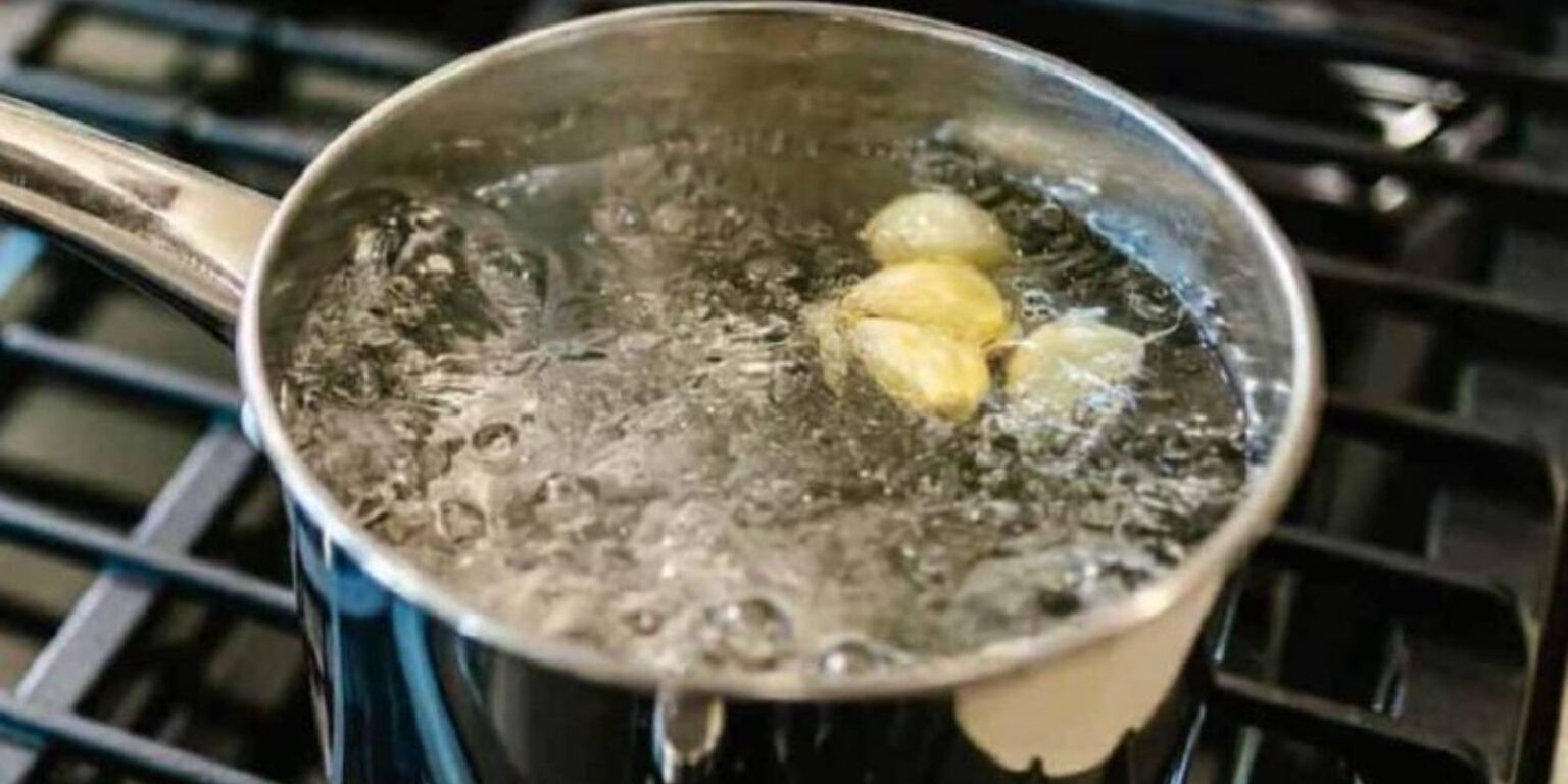 The Power of Garlic: How Boiling 5 Cloves Can Solve a Common Garden ...