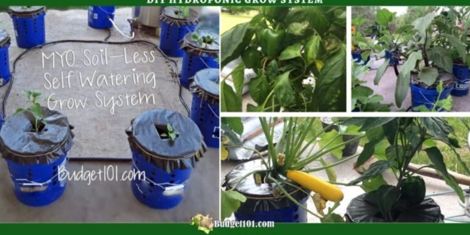 Dirt Cheap, Self-Watering Grow Buckets: An Easy Guide to Efficient ...