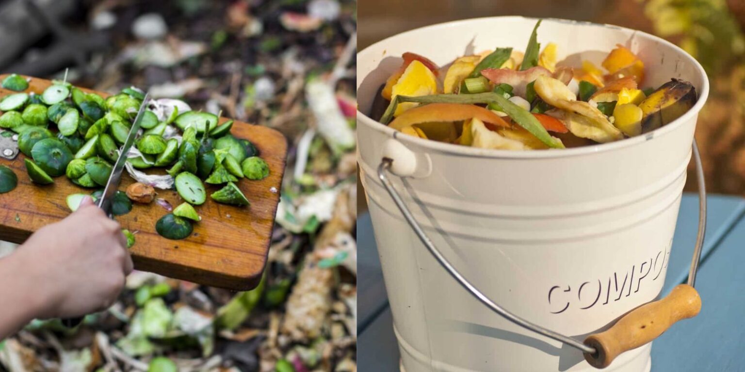 What NOT to Put in Your Compost Pile: A Comprehensive Guide to Healthy ...