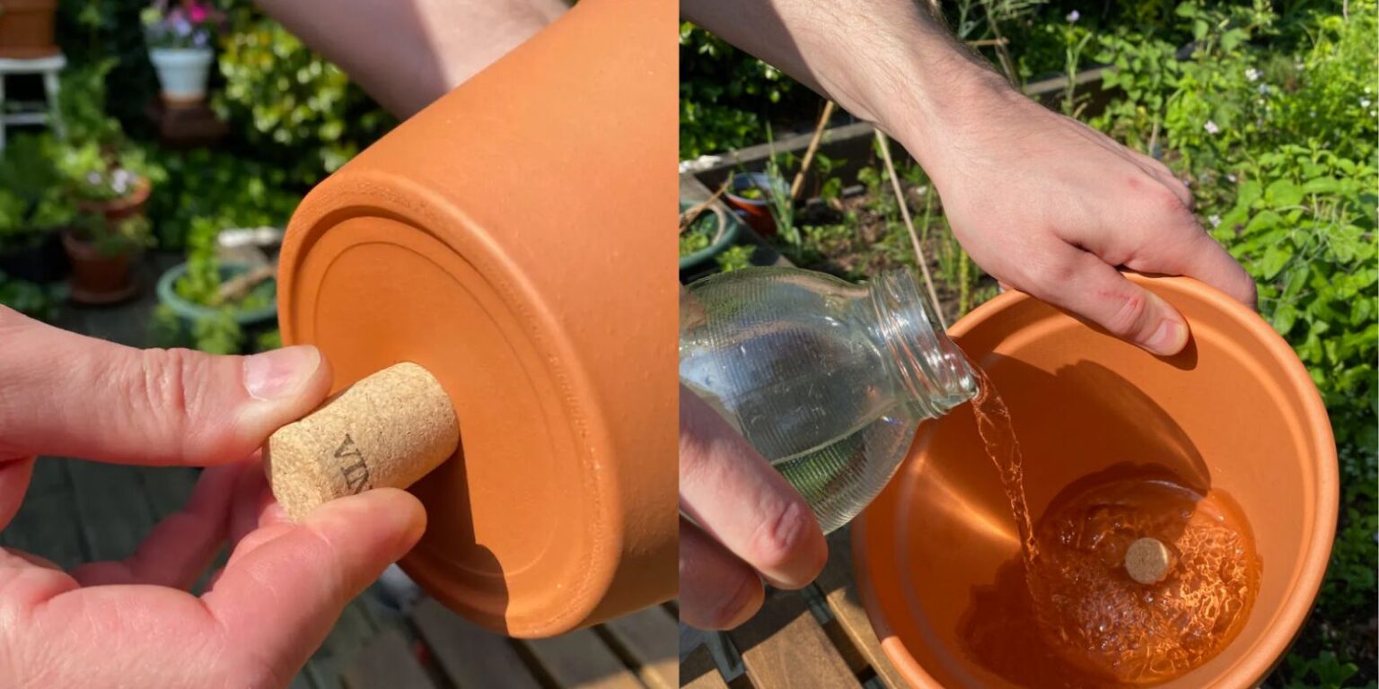 How to Make an Olla for Effortless Garden Irrigation: A Step-by-Step ...