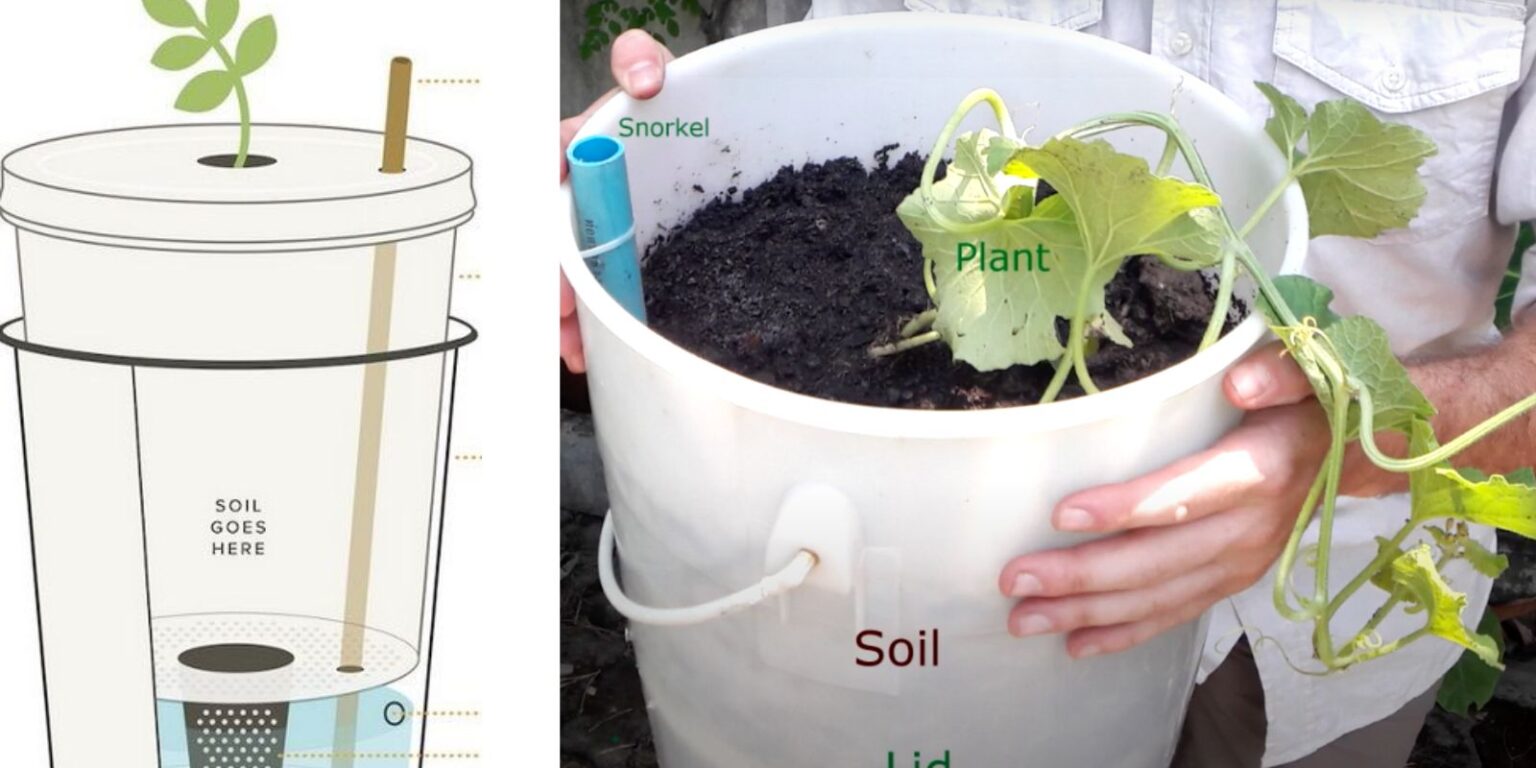 DIY Self-Watering Containers: A Step-by-Step Guide to Effortless ...