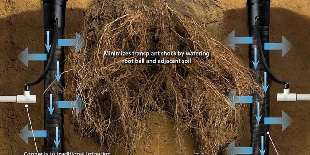 The Ultimate Guide to Root Watering Systems: A Smart Way to Hydrate ...