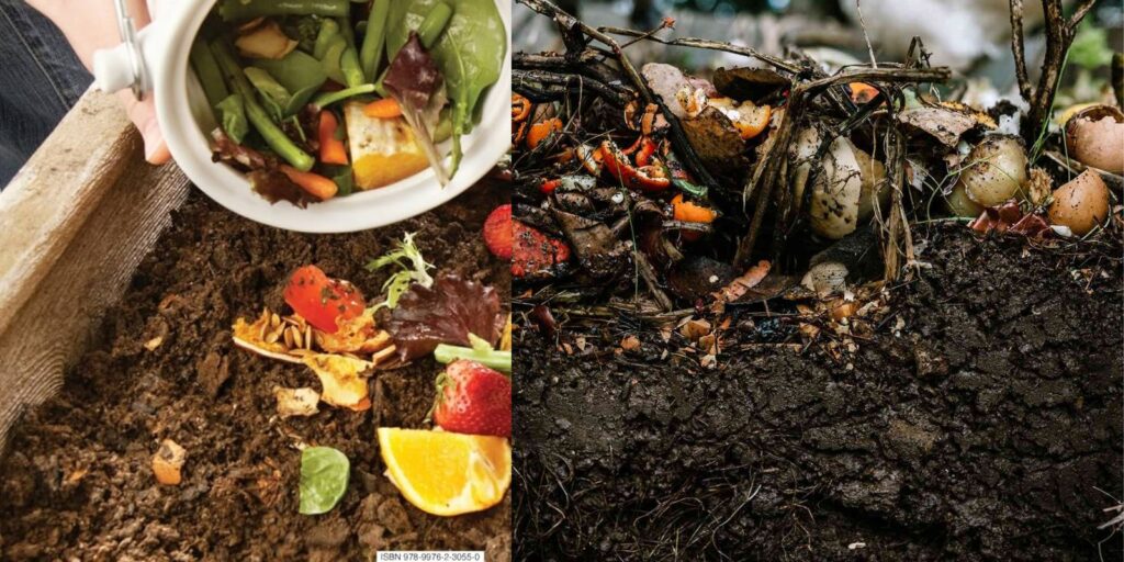 Composting: The Ultimate Guide to Turning Waste into Garden Gold ...