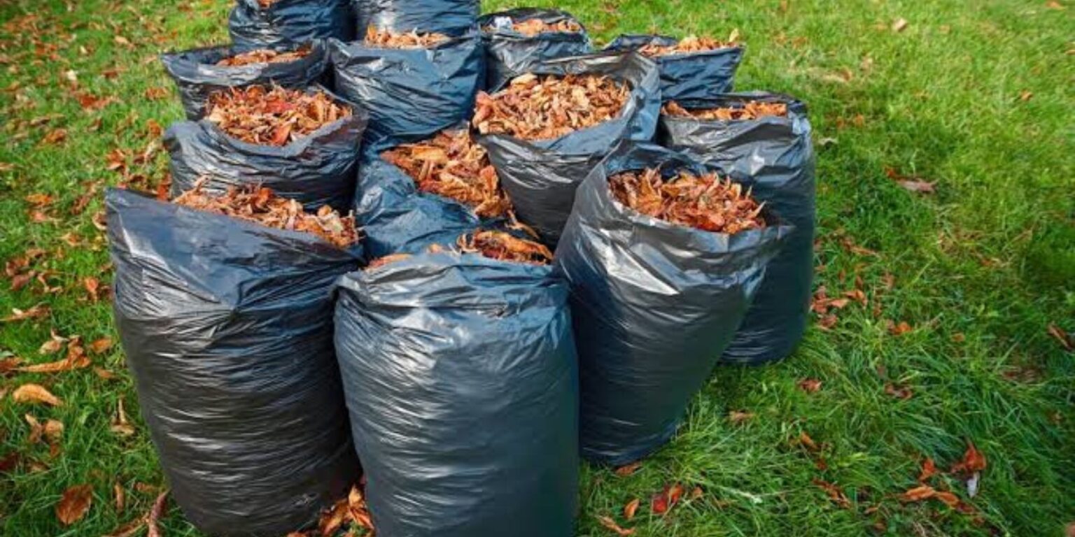 “Turn Dry Leaves Into Gardening Gold: The Ultimate Guide to Using Leaf ...