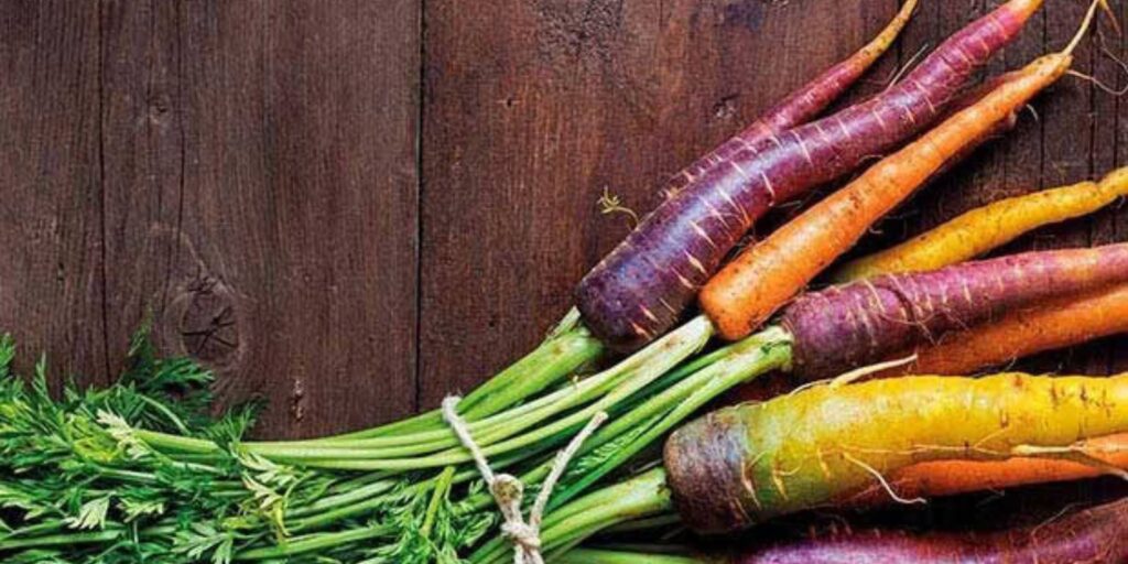 The Fascinating History of Carrots: From Wild Roots to Vibrant Orange ...