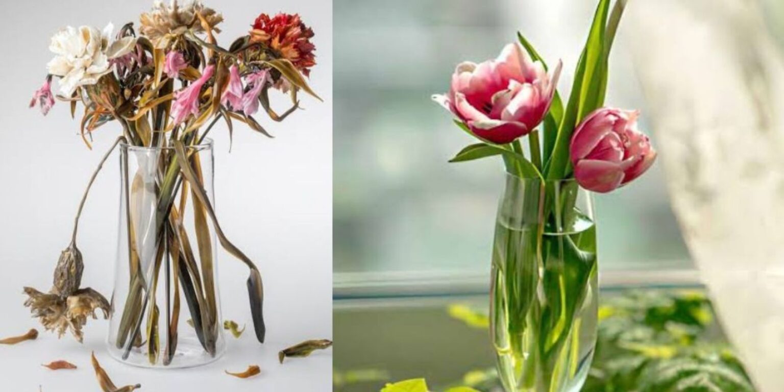 The Ultimate Guide to Reviving Wilted and Yellowed Flowers: A Simple ...