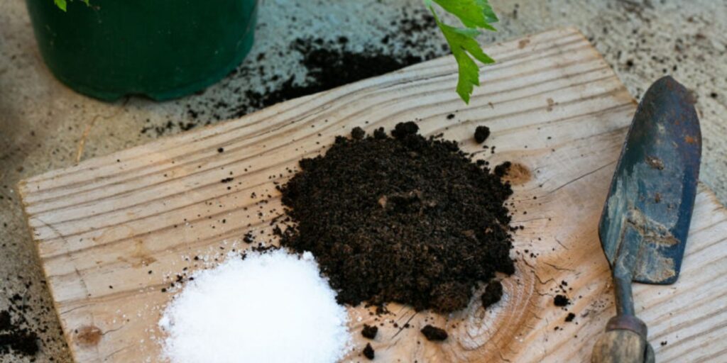 The Truth About Epsom Salts for Fruit Trees: Myths, Benefits, and ...