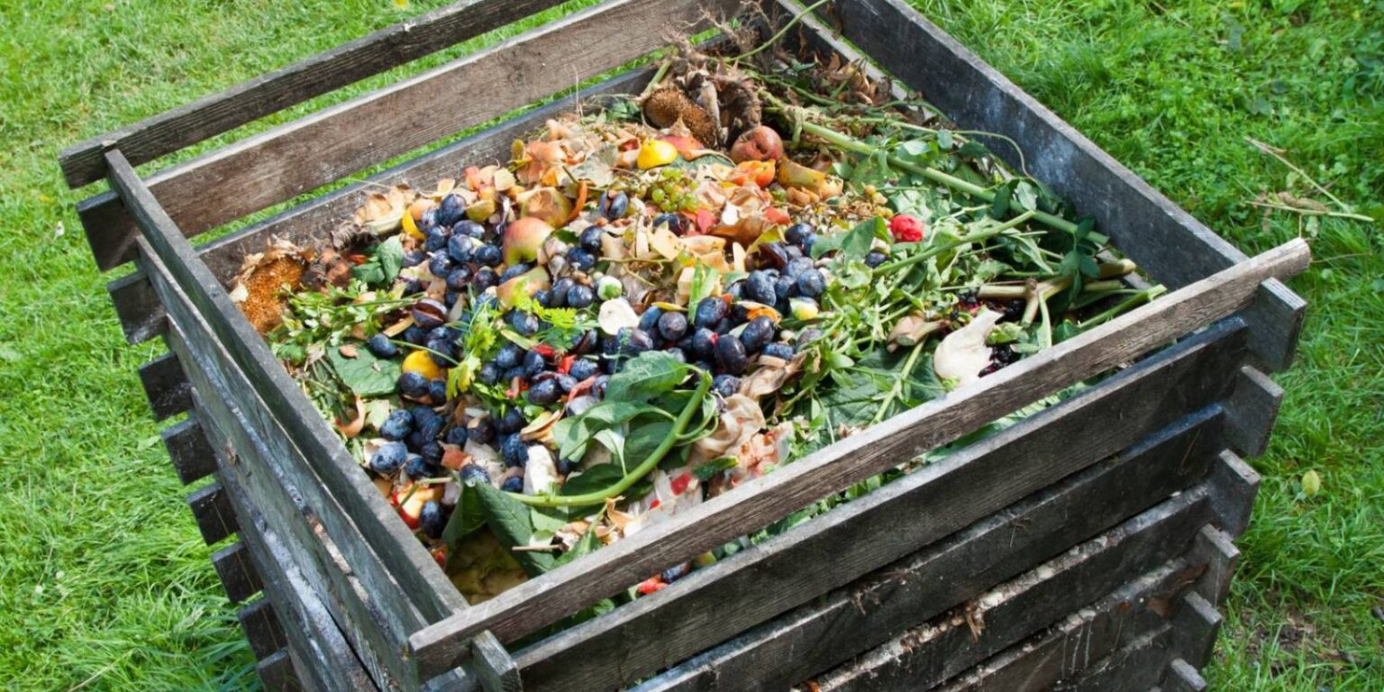 How Long Does Compost Take? Understanding the Timeline and Key Factors ...