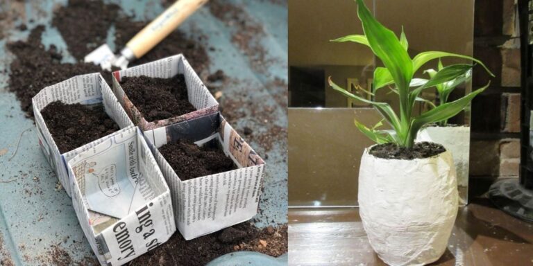 How to Make DIY Paper Mache Seedling Pots: A Sustainable Gardening ...