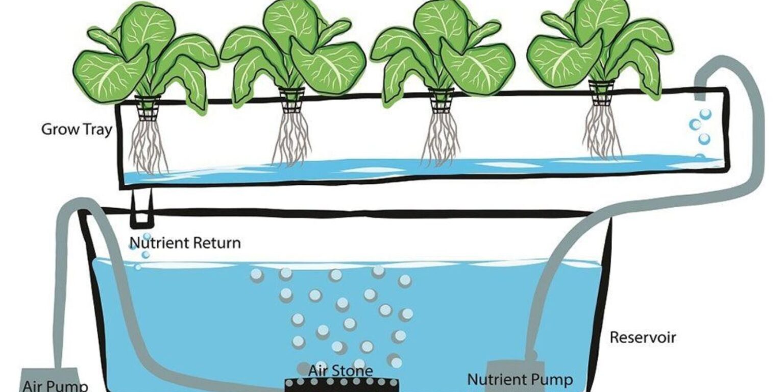 DIY Hydroponics: A Beginner's Guide to Growing Without Soil - Natural ...