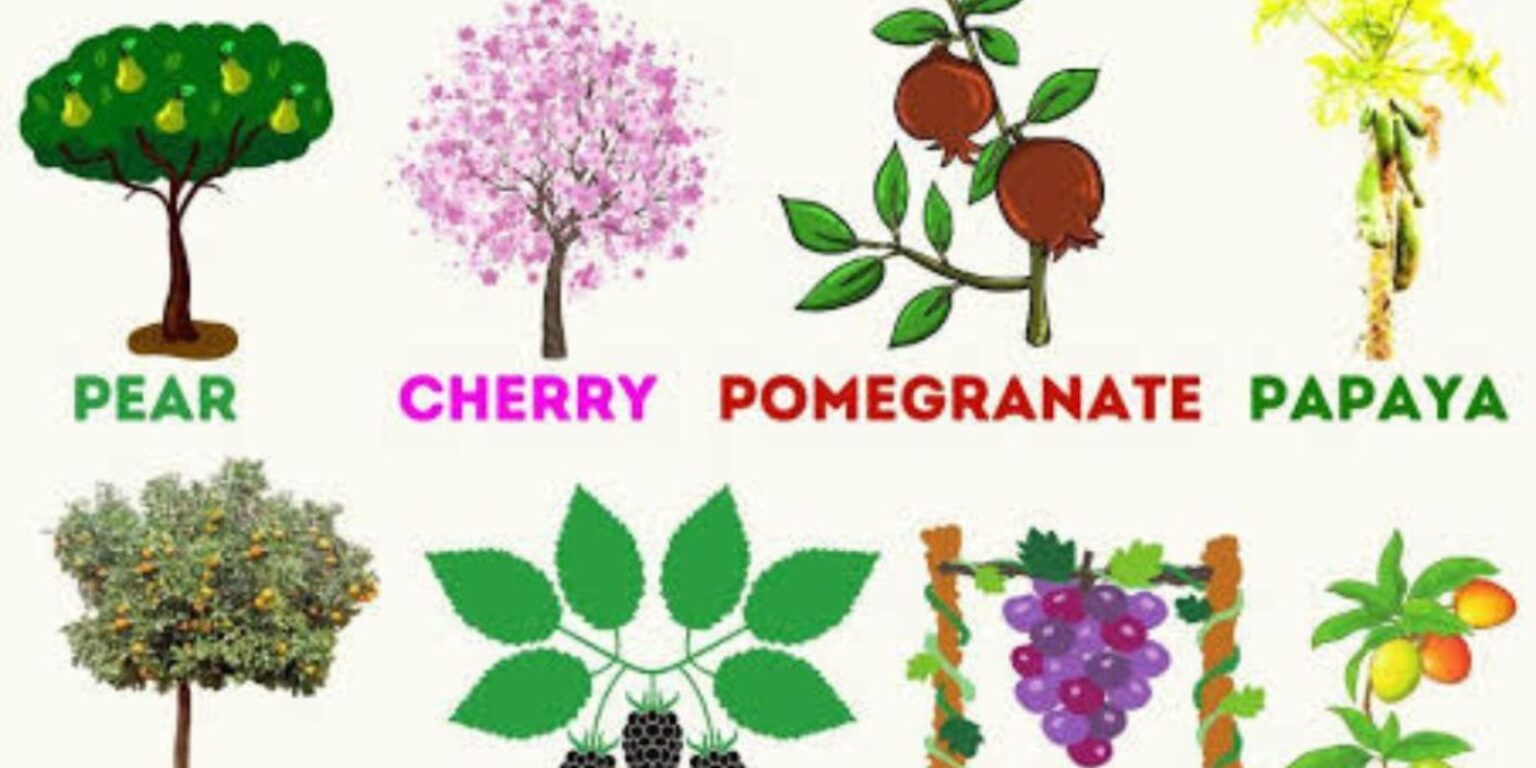 Title: 20 Fruit Trees You Can Easily Propagate from Cuttings: A ...