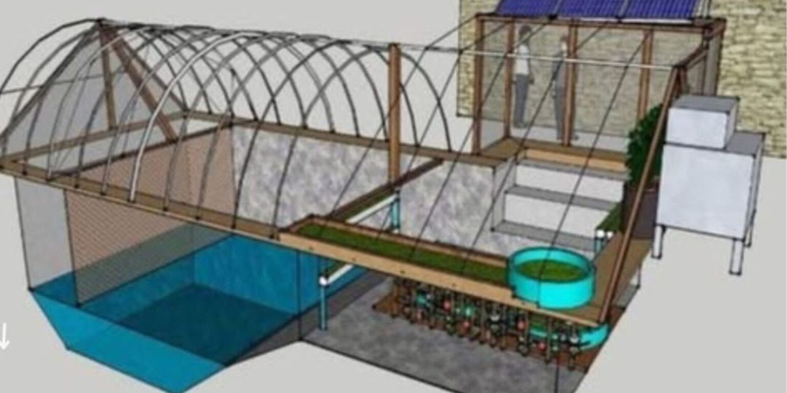 The Ultimate Guide to Building and Cultivating an Underground ...