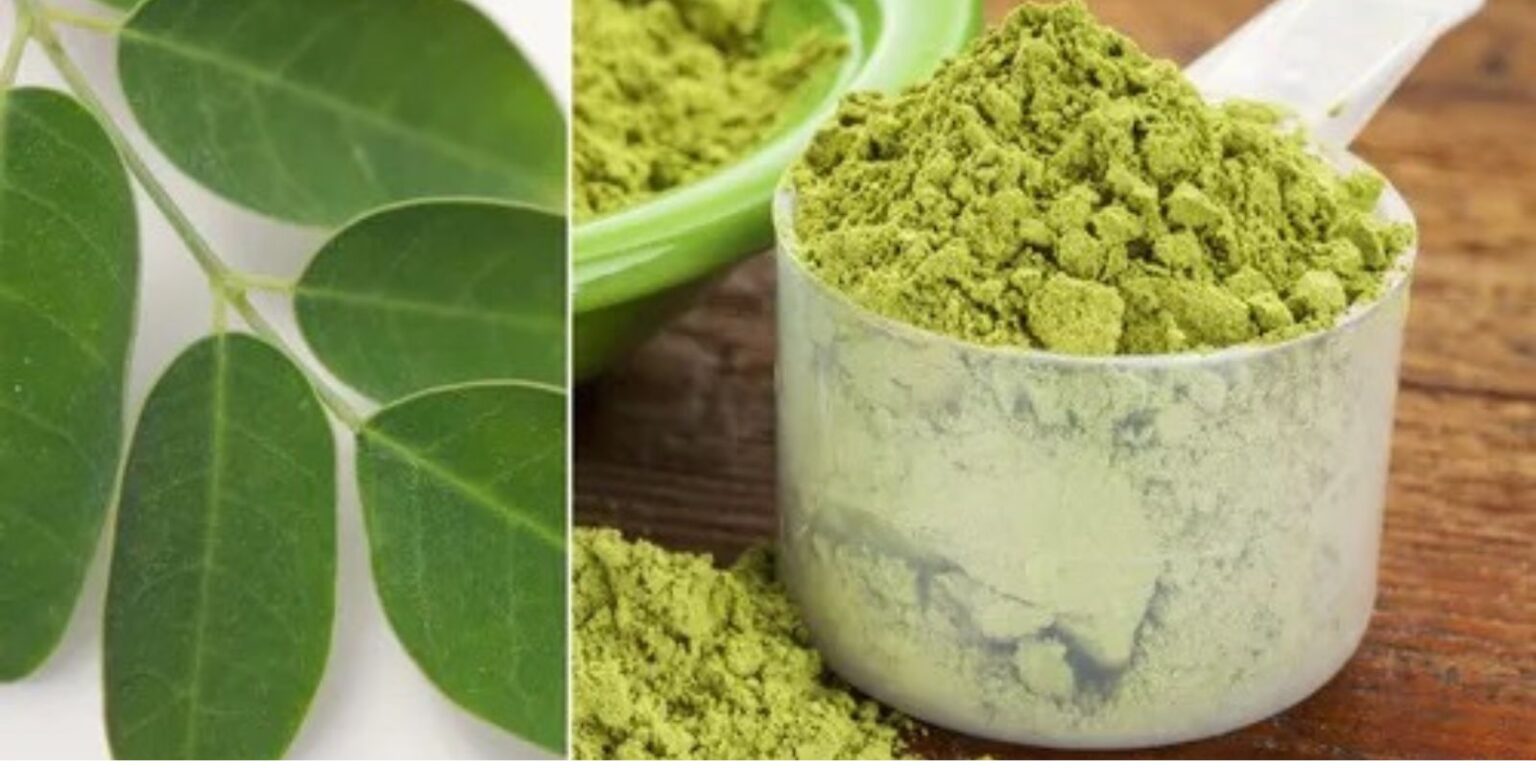 Moringa: The Tree of Life and Its Incredible Health Benefits - Natural ...