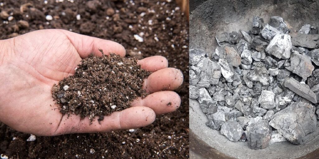 Can You Put Coal Ash in Compost? Exploring the Benefits and Risks for ...