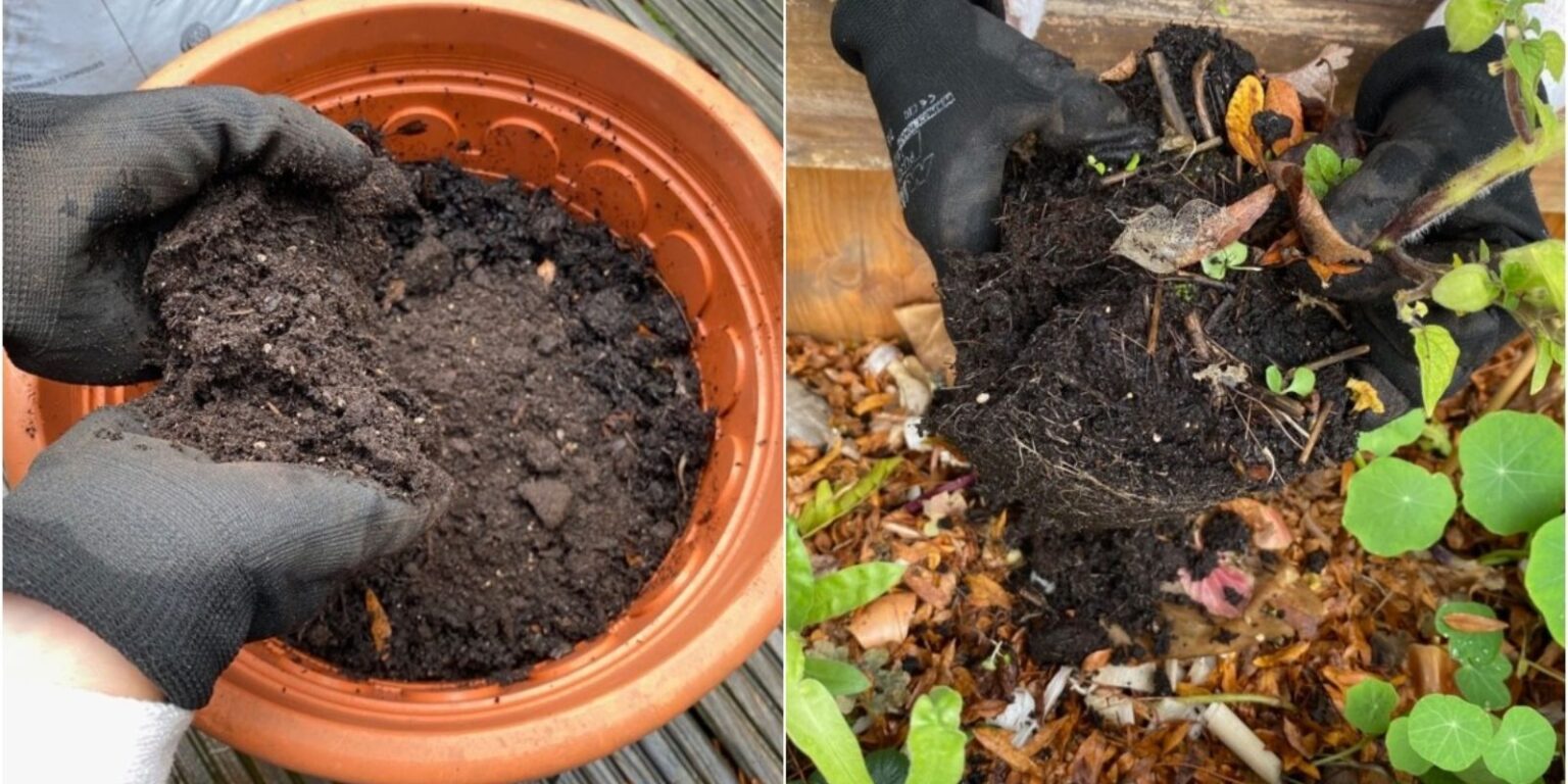 How to Recharge & Reuse Old Potting Soil: Proven Techniques for a Thriving Garden - Natural ...